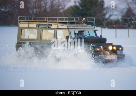 Land Rover Series 2a 109 with canoe in woods Stock Photo - Alamy