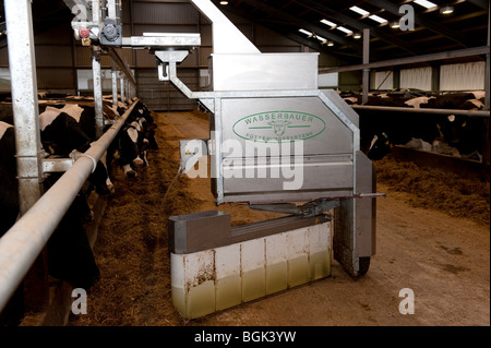 Robot feeding cattle in dairy shed Stock Photo - Alamy