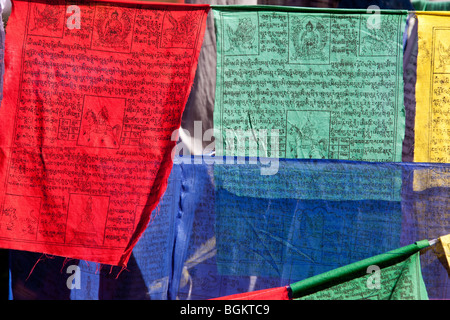 Prayer flags at the Thrumshingla pass at 3800m marking the divide ...