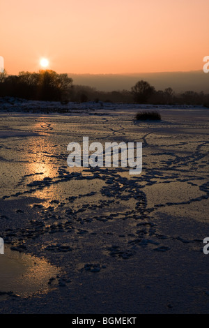 Winter scene, Iskar dam frozen, animal footprints on the ice Stock ...