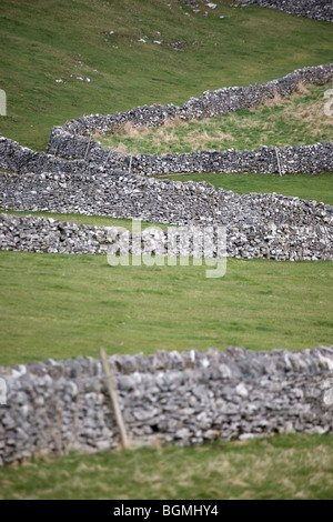 Stonewall in grassland Stock Photo - Alamy