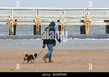 Dog walking on the beach as storm clouds roll in with Arran in ...