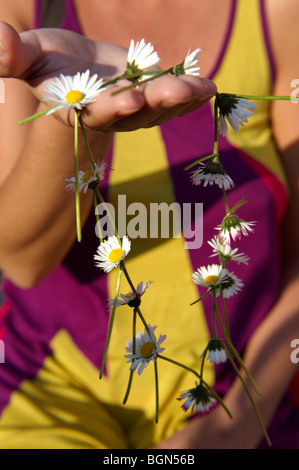 Daisy chain being made Stock Photo - Alamy