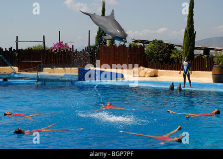 Dolphins jumping and swimming in blue sea water against sky in sunny ...