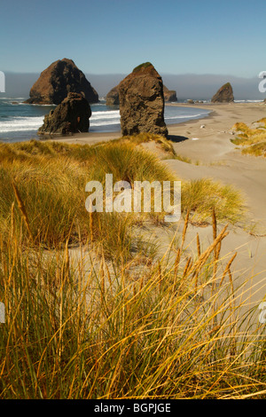 Oregon Coast near California border Stock Photo - Alamy