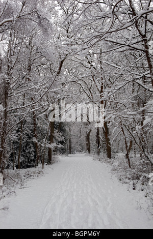 Country in snow Stock Photo - Alamy