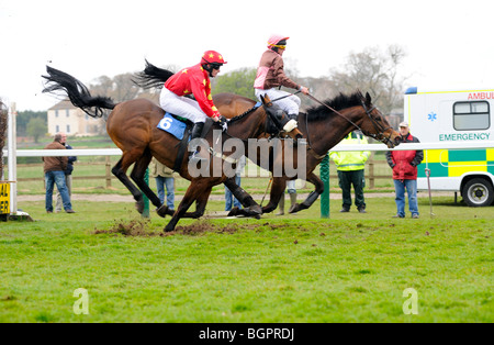 Horse and Jockey jumping last fence Sedgefield national hunt meeting ...