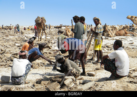 Asale Salt Lake. Danakil. Ethiopia Stock Photo - Alamy