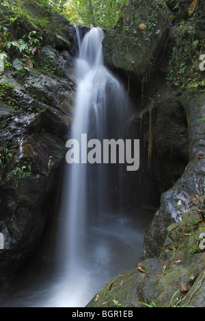 Landscape of Cockscomb Basin Wildlife Sanctuary, Belize Stock Photo - Alamy
