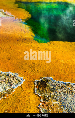 Yellowstone National Park’s geothermal features, including hot springs ...
