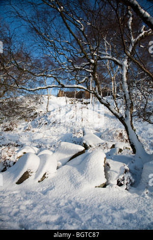 Abandoned millstones at Lawrencefield quarry between Bakewell and ...