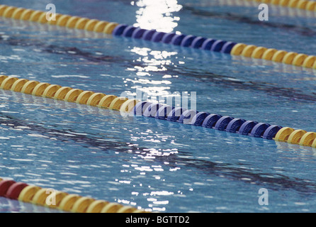 Competitive swimming pool with lane markers and flags Stock Photo ...