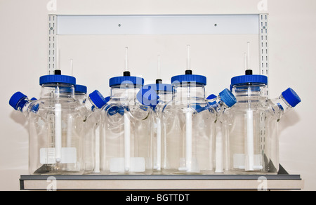 Microbiology Laboratory a shelf with sterile glass container Stock ...
