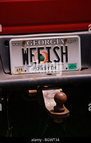 GEORGIA LICENSE PLATE "WEFISH" FISHING FANATIC ENTHUSIAST Stock Photo ...