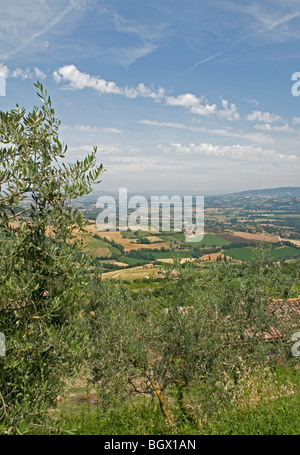 Looking out across the Tevere valley from Monte Castello di Vibio ...
