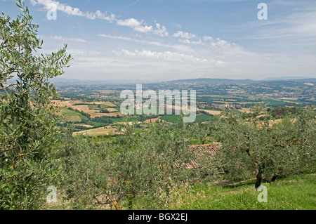 Looking out across the Tevere valley from Monte Castello di Vibio ...