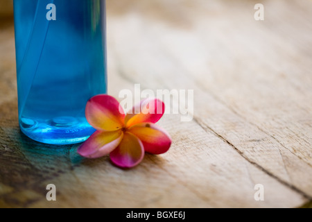 Frangipani Flower -Frangipani flower blooms with a blur background ...