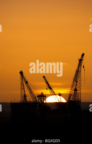 Cranes at sunset, Kent, UK Stock Photo - Alamy