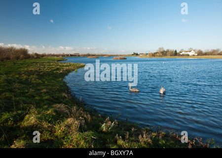 Gravel Pit forming part of the Cotswolds Water Park at Cerney Wick near ...