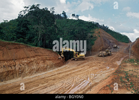 Logging road through tropical rainforest in Central Kalimantan near ...