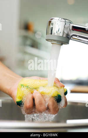 Hand wringing a sponge Stock Photo - Alamy