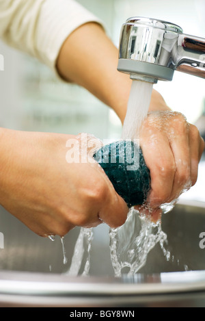 Hand wringing a sponge Stock Photo - Alamy