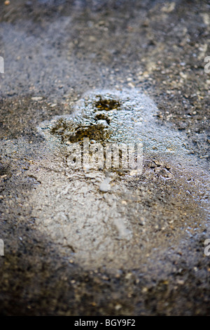 Spilled oil on the ground. Pollution of the soil and the planet with ...