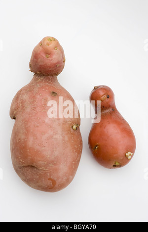Strangely shaped red potato Stock Photo - Alamy