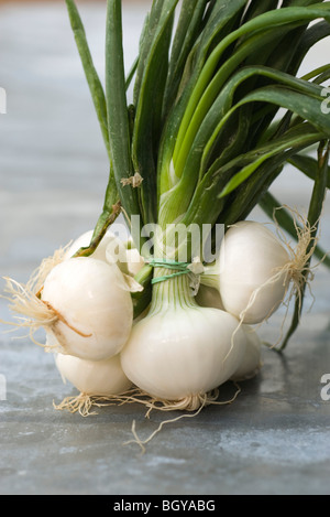 Spring onion stalks food still-life Stock Photo - Alamy