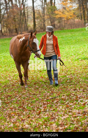 Young woman walking with her horse Stock Photo - Alamy
