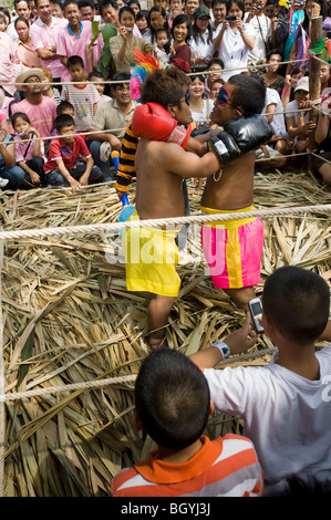 funny blindfold dwarf boxing, Bangkok, Thailand Stock Photo - Alamy