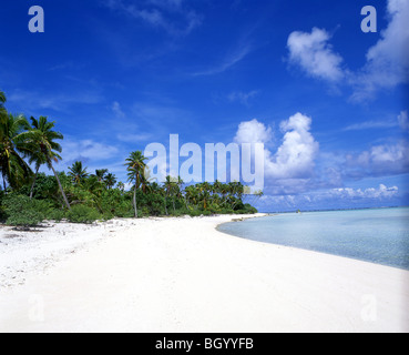 Aitutaki, Atoll, Beach, Cook islands, Holiday, Island, Landmark, Palm ...