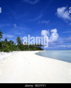 Aitutaki, Atoll, Beach, Cook islands, Holiday, Island, Landmark, Palm ...