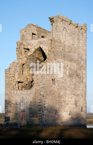 Carrigafoyle Castle, County Kerry, Ireland Stock Photo - Alamy