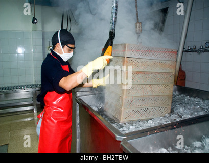 Ecuador. Guayaquil city. Factory shrimp and fish processing. Tilapia ...