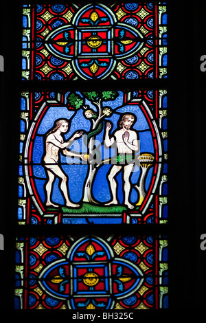 Adam and Eve eating the Forbidden Fruit in the Garden of Eden on a ...