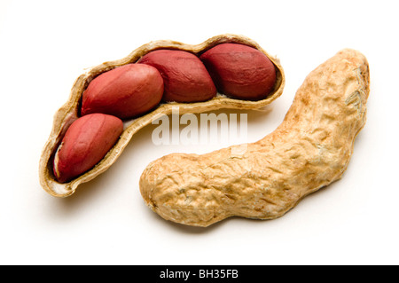 peanuts in open shell Stock Photo - Alamy
