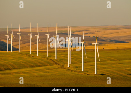 Aerial View of Klondike/Biglow Canyon Wind Farm Owned by Portland ...
