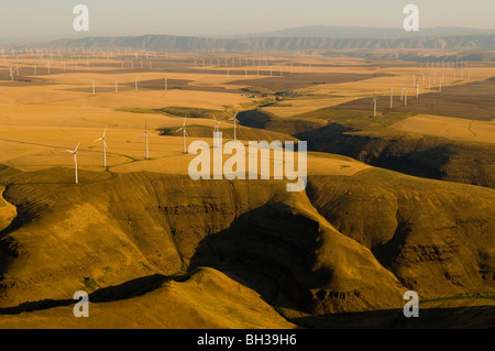 Aerial View of Klondike/Biglow Canyon Wind Farm Owned by Portland ...