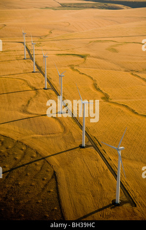 Aerial View of Klondike/Biglow Canyon Wind Farm Owned by Portland ...