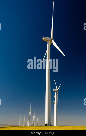 Klondike Wind Farm, Oregon Photo by Bruce Forster Stock Photo - Alamy