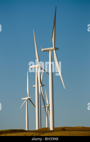 Windy Flats Wind Farm Photo by Bruce Forster 2009 Stock Photo - Alamy
