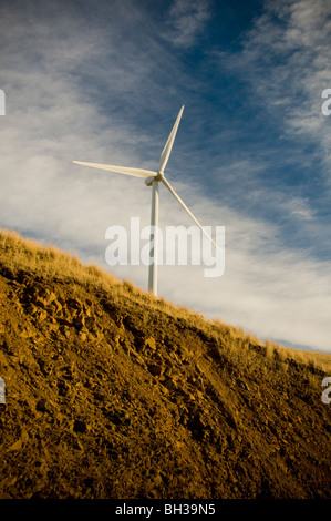 Goodnoe Hills Wind Farm Washington Photo by Bruce Forster Stock Photo ...