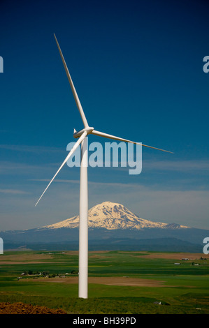 Windy Flats Wind Farm Photo by Bruce Forster 2009 Stock Photo - Alamy