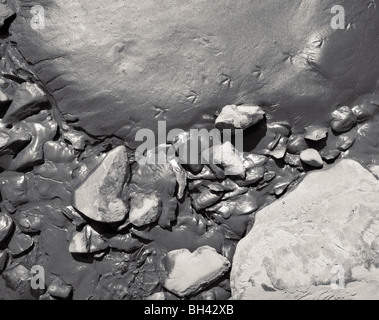 Bird prints on the mud flats at Bird Point Stock Photo - Alamy