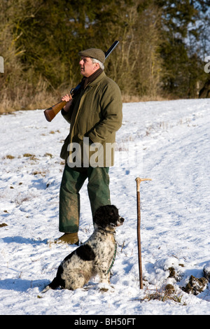 Gunner with Springer Spaniel during pheasant shoot. Little Dalby Estate ...