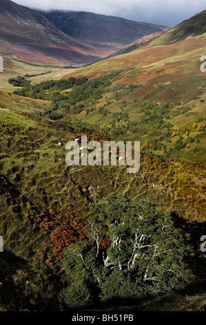 The Parallel Roads of Glen Roy Stock Photo - Alamy