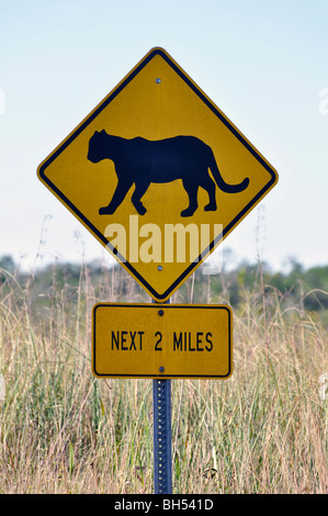 Panther crossing sign, Everglades, Florida, USA (Puma: Puma concolor ...