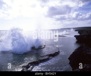Mapu'a Vaea Blowholes, Mapu'a Vaea, Tongatapu, Kingdom of Tonga Stock ...