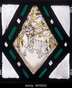 York Minster stained glass panel in the Zouche chapel, medieval. Bird ...